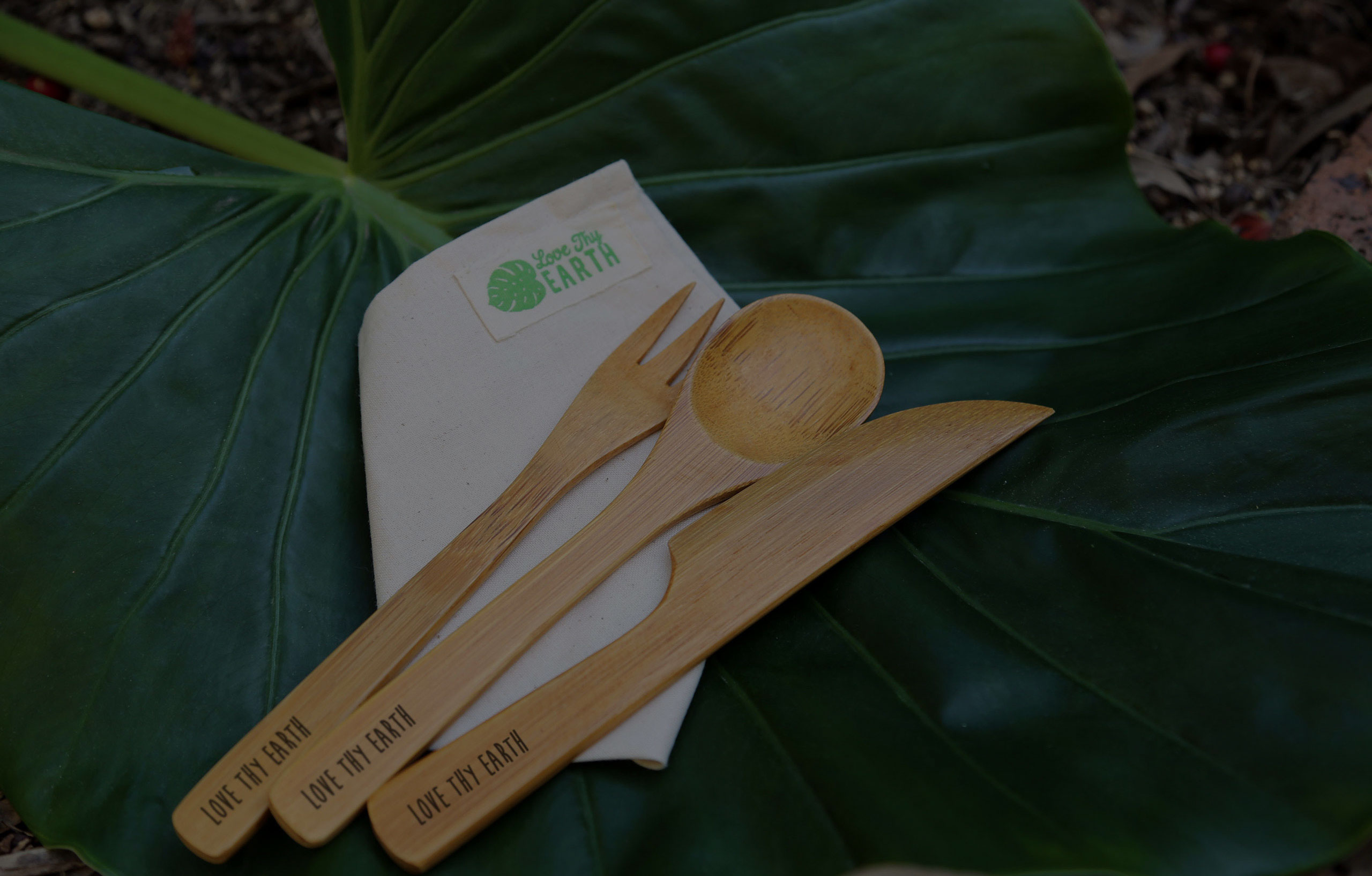 Love Thy Earth - Sustainable Eco Friendly Products